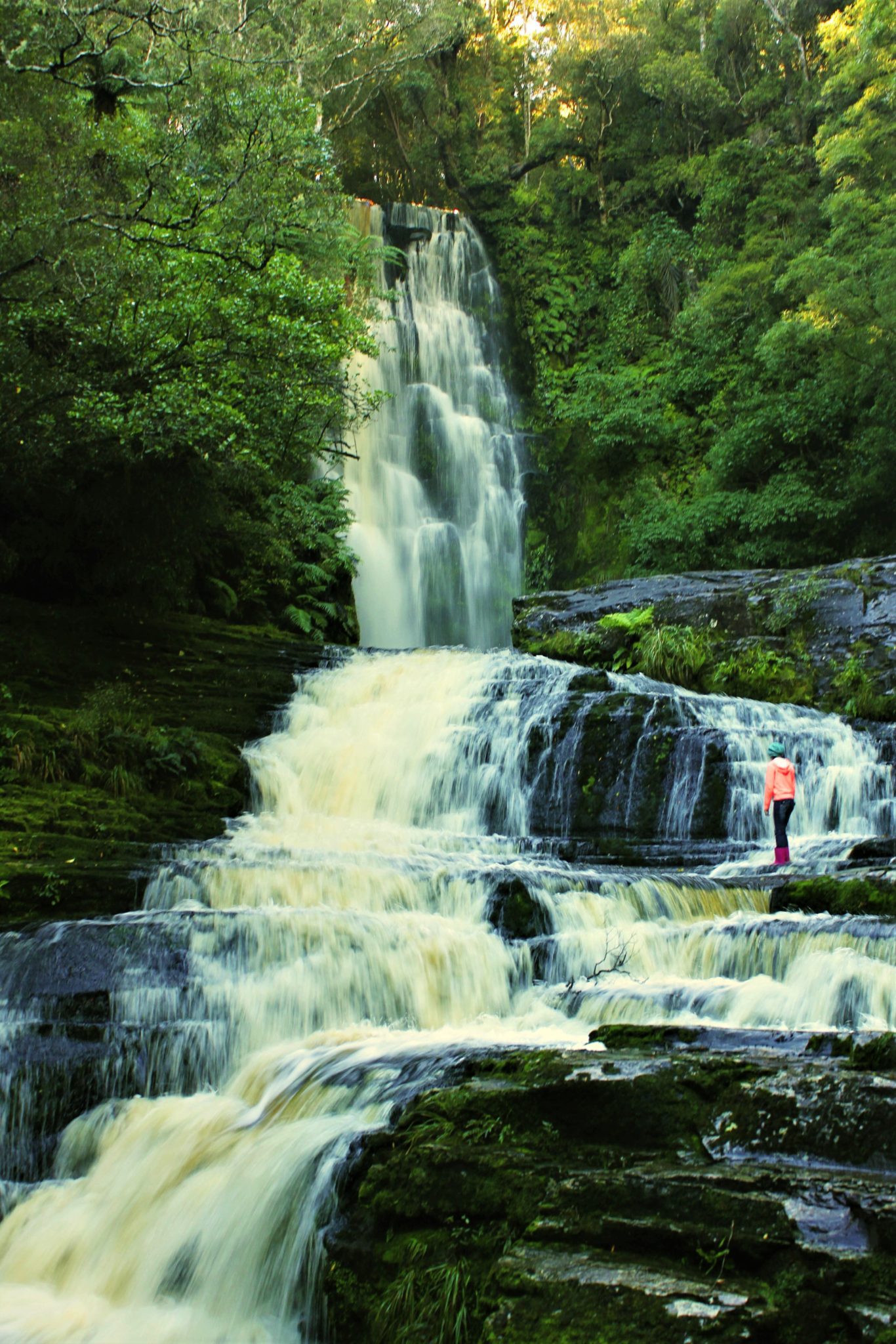 9 Beautiful Places to go in the Catlins New Zealand | Simply Wander