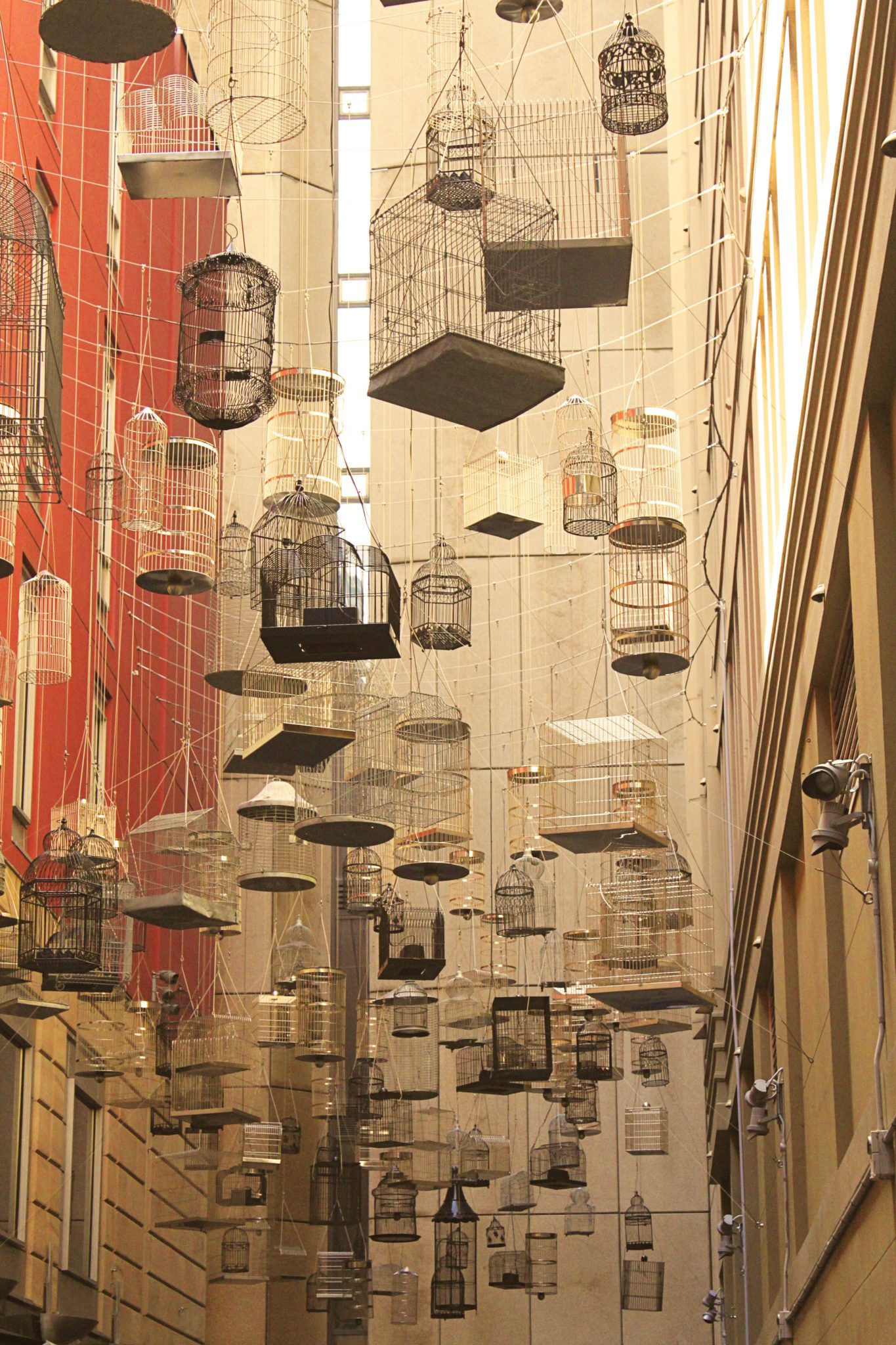 10 Amazing Things to do in Sydney Australia | Simply Wander