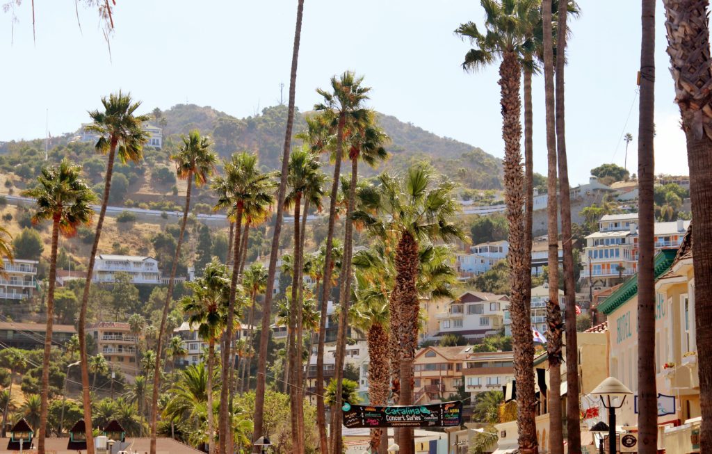 How to Spend One Day on California's Catalina Island - Simply Wander