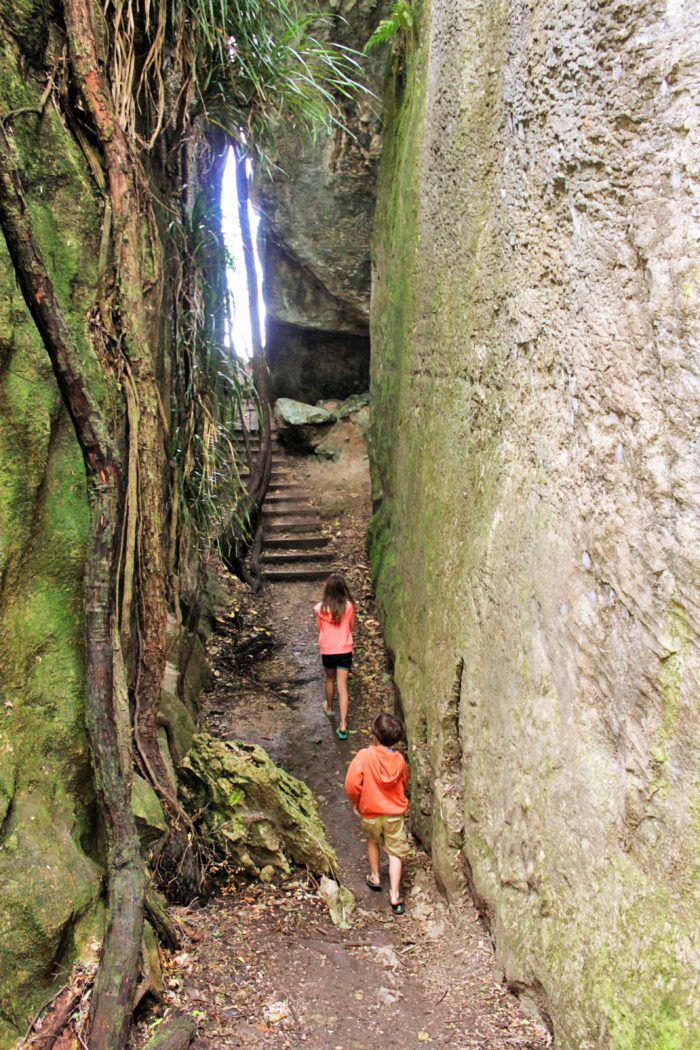 10 Amazing Things to do in Golden Bay New Zealand | Simply Wander