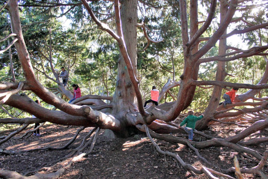 17 Underrated Spots on New Zealand's South Island | Simply Wander