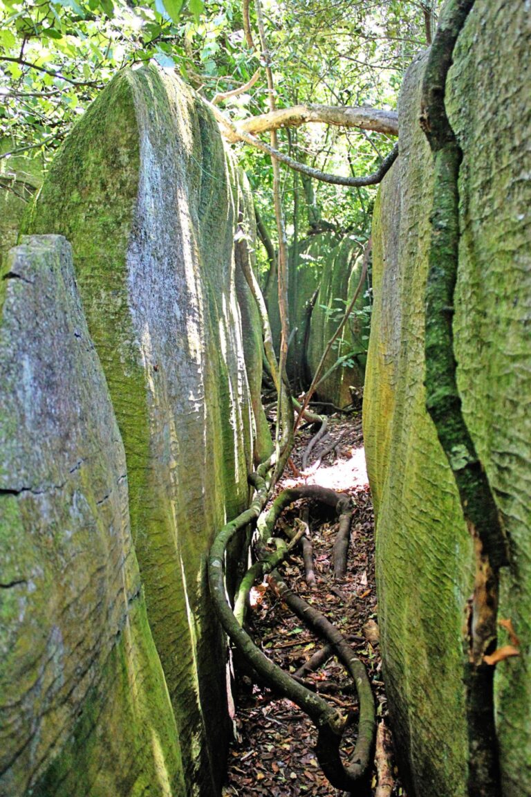 10 Amazing Things to do in Golden Bay New Zealand | Simply Wander