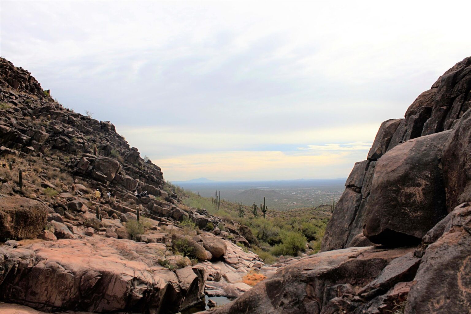 101 East Valley and Phoenix Kids Activities - Simply Wander