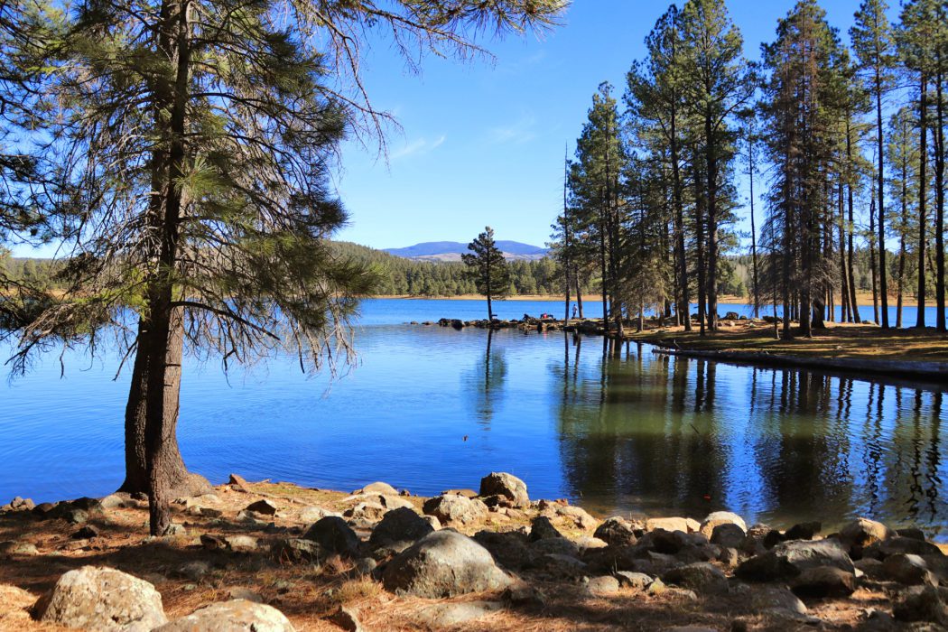 A Local's Guide: Best Things to do in Pinetop Arizona | Simply Wander