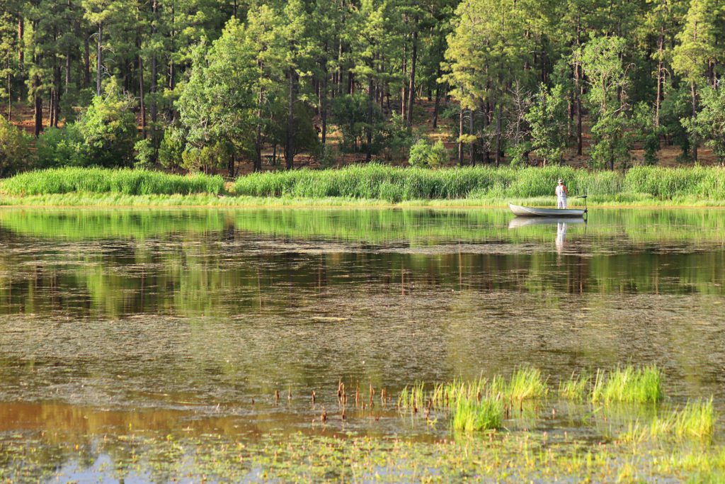 A Local's Guide: Best Things to do in Pinetop | Simply Wander