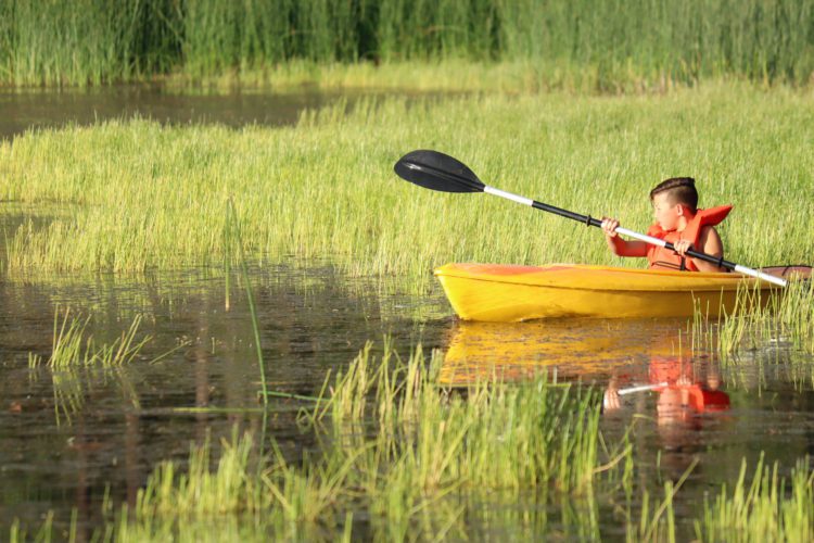 A Local's Guide: Best Things to do in Pinetop Arizona | Simply Wander