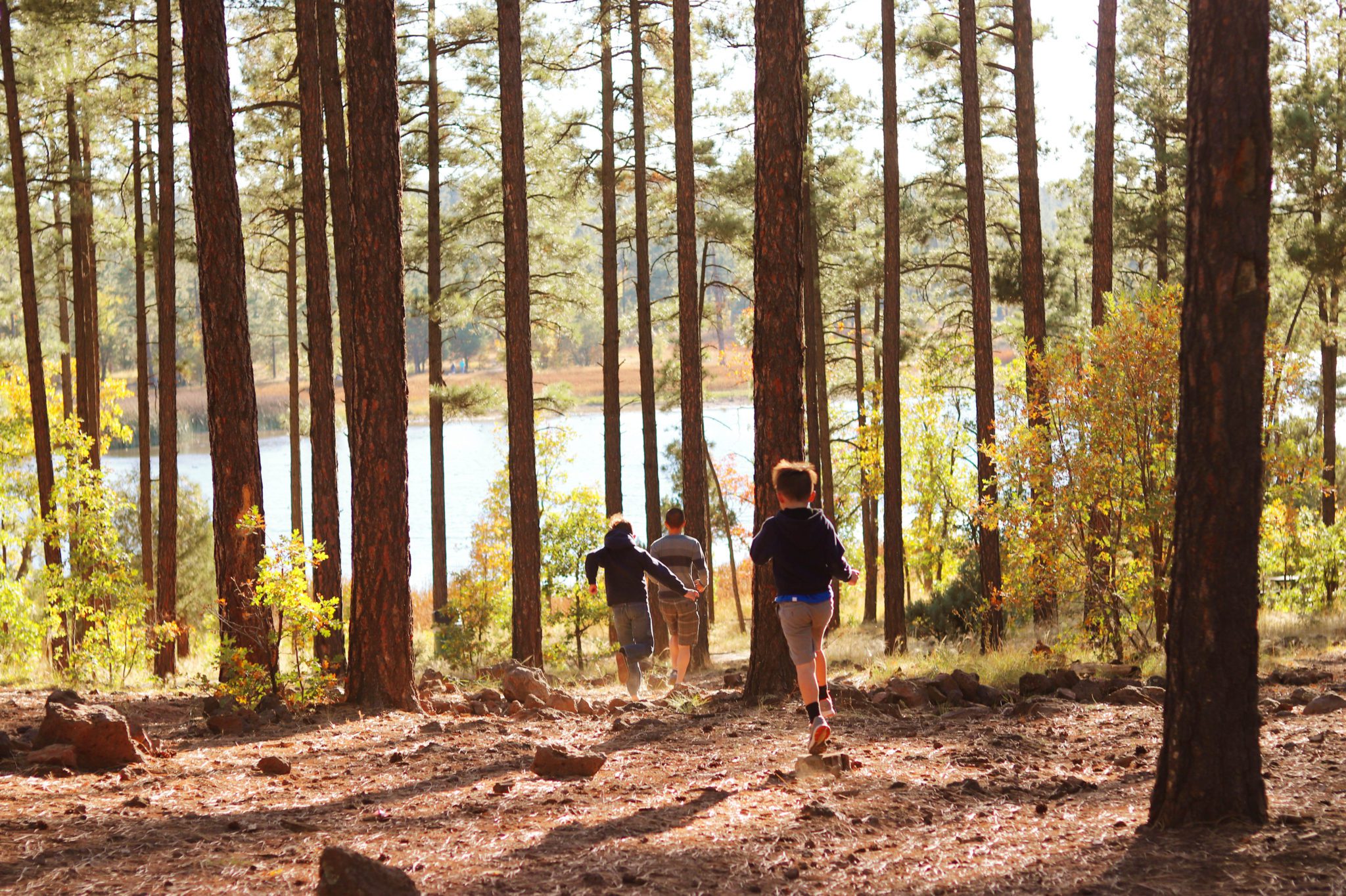 A Local's Guide: Best Things to do in Pinetop Arizona | Simply Wander