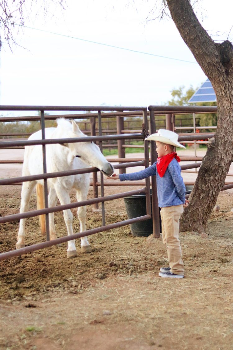 White Stallion Dude Ranch: Arizona's best family vacation - Simply Wander