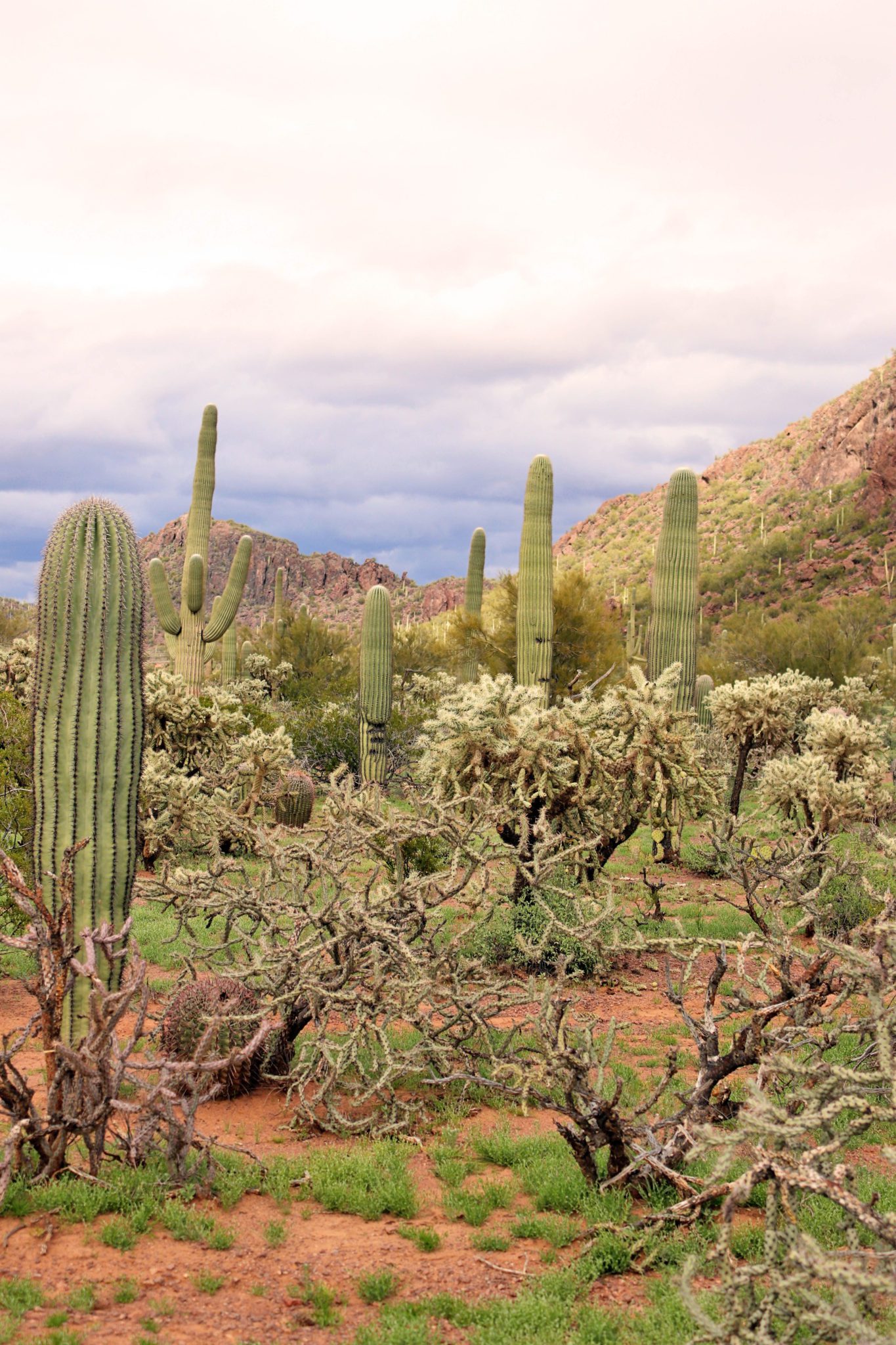 White Stallion Dude Ranch: Arizona's best family vacation - Simply Wander