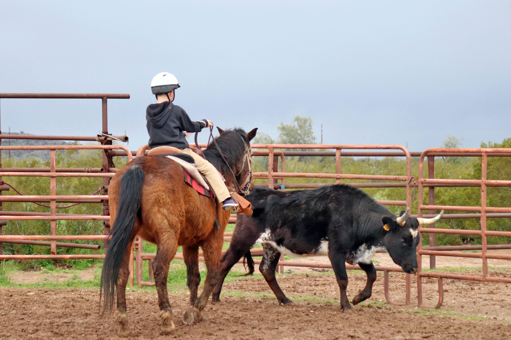 White Stallion Dude Ranch: Arizona's best family vacation - Simply Wander