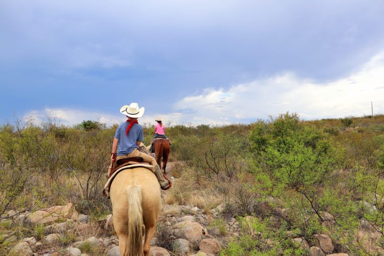 Tombstone Monument Ranch Arizona Dude Ranch | Simply Wander