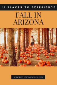 12 Places To Experience Fall In Arizona | Simply Wander