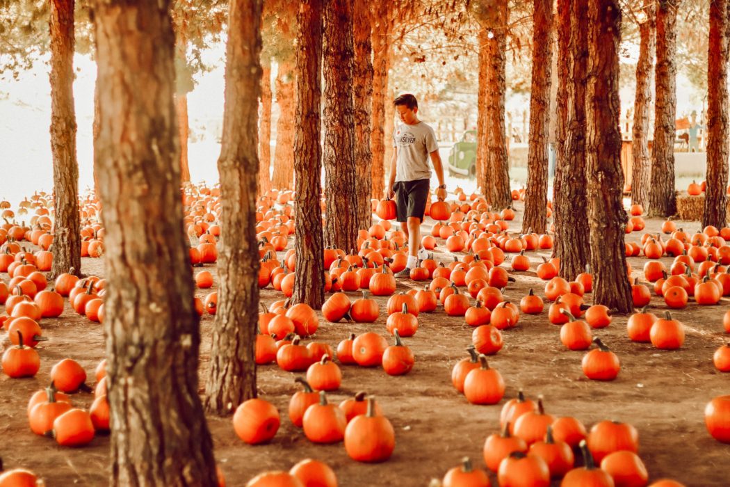 12 Places To Experience Fall In Arizona | Simply Wander