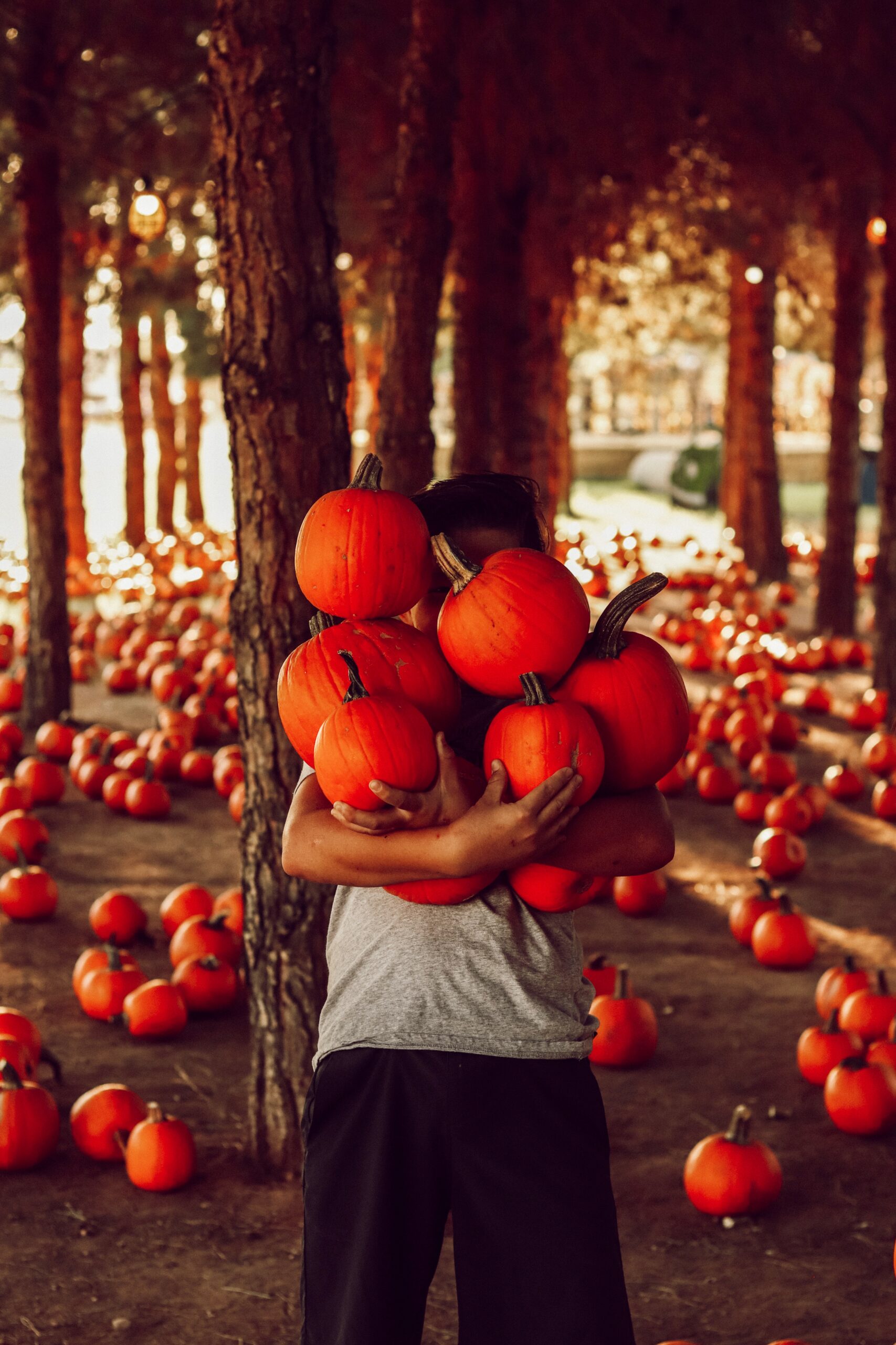 12 Places To Experience Fall In Arizona | Simply Wander