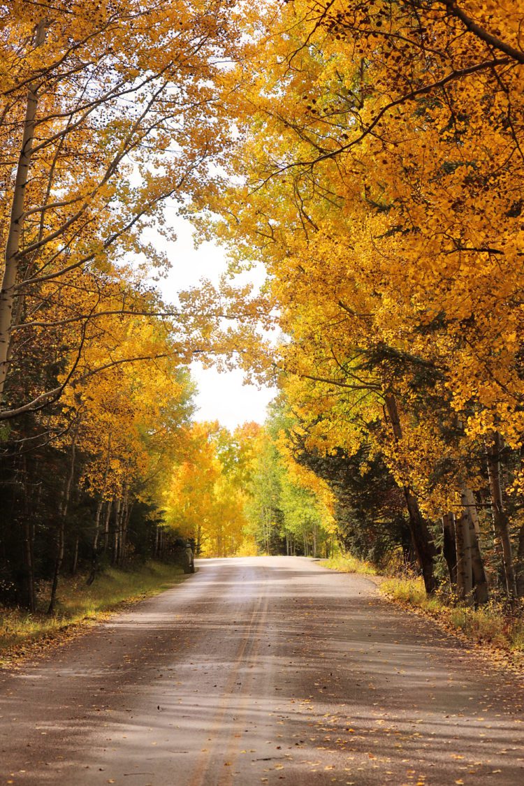 12 Places To Experience Fall In Arizona | Simply Wander