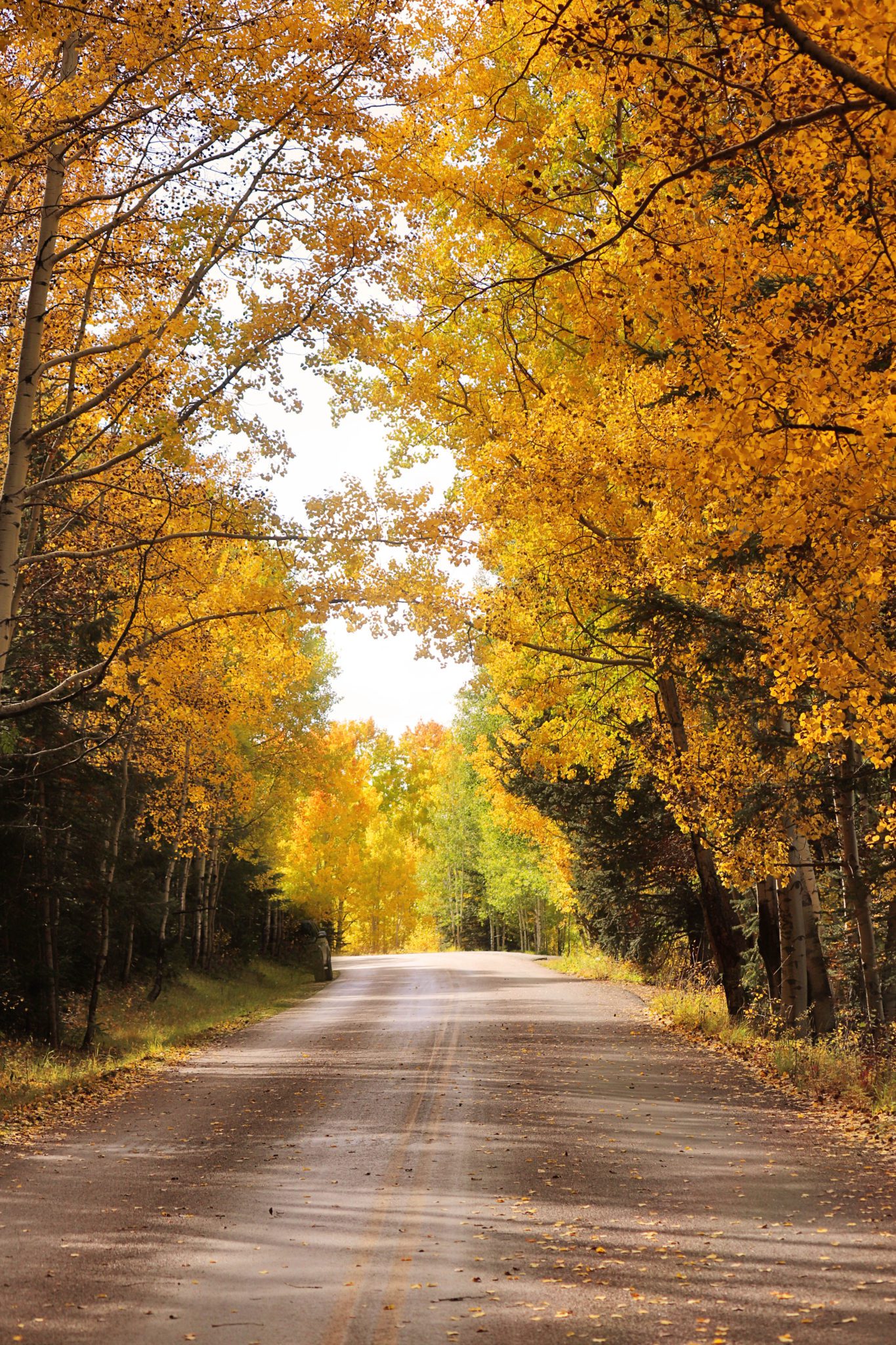 12 Places To Experience Fall In Arizona | Simply Wander