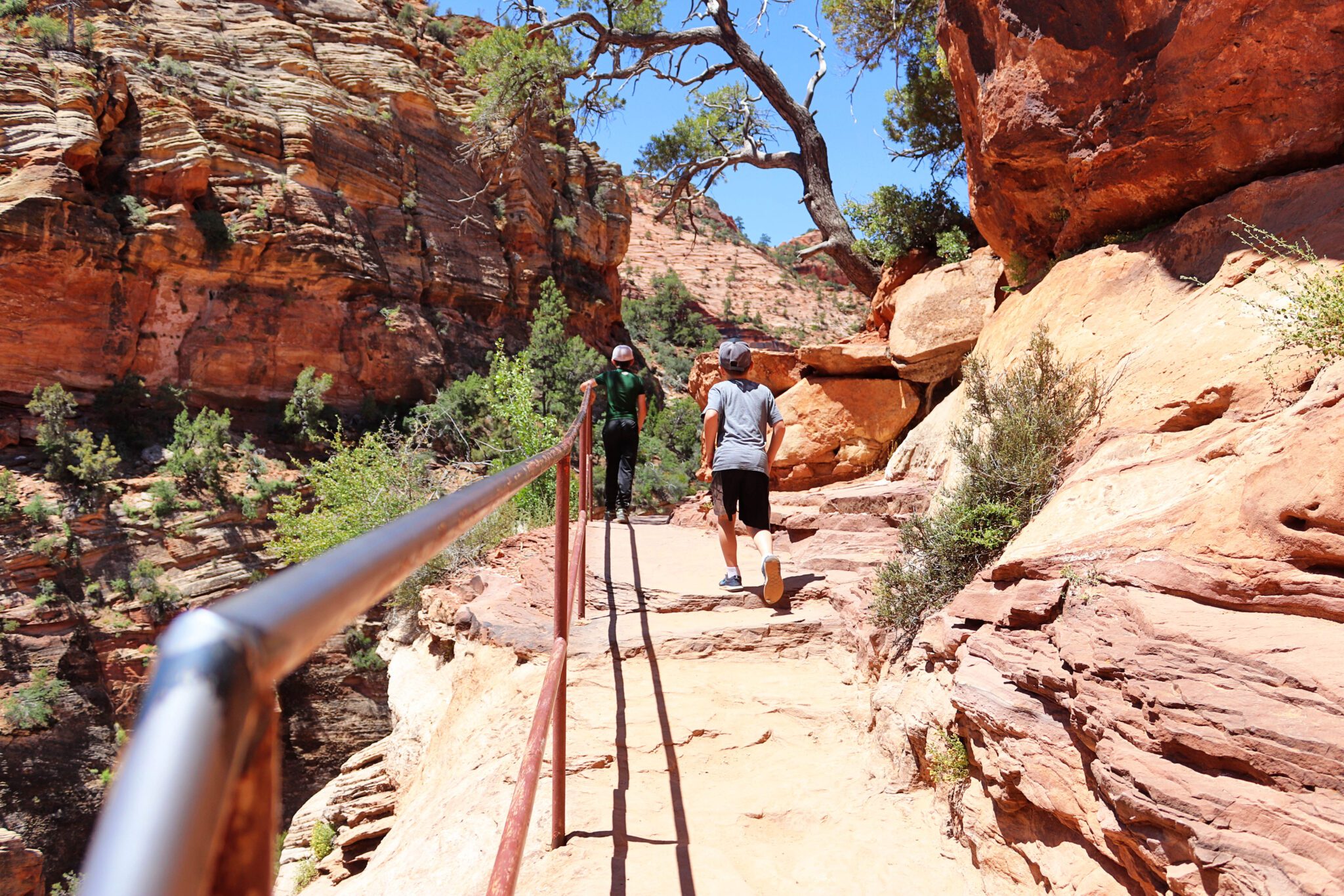 Canyon Overlook Trail: Zion's Best Short Hike | Simply Wander