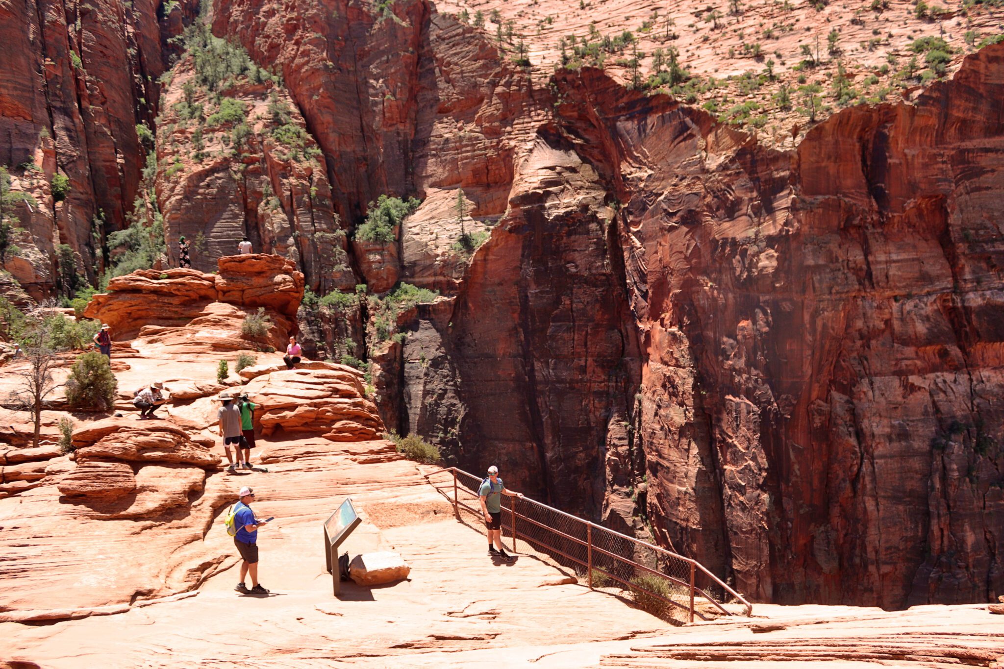 Canyon Overlook Trail: Zion's Best Short Hike | Simply Wander