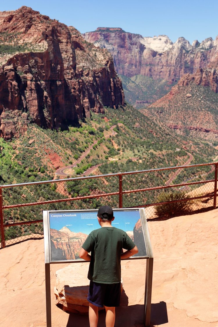 Canyon Overlook Trail: Zion's Best Short Hike | Simply Wander