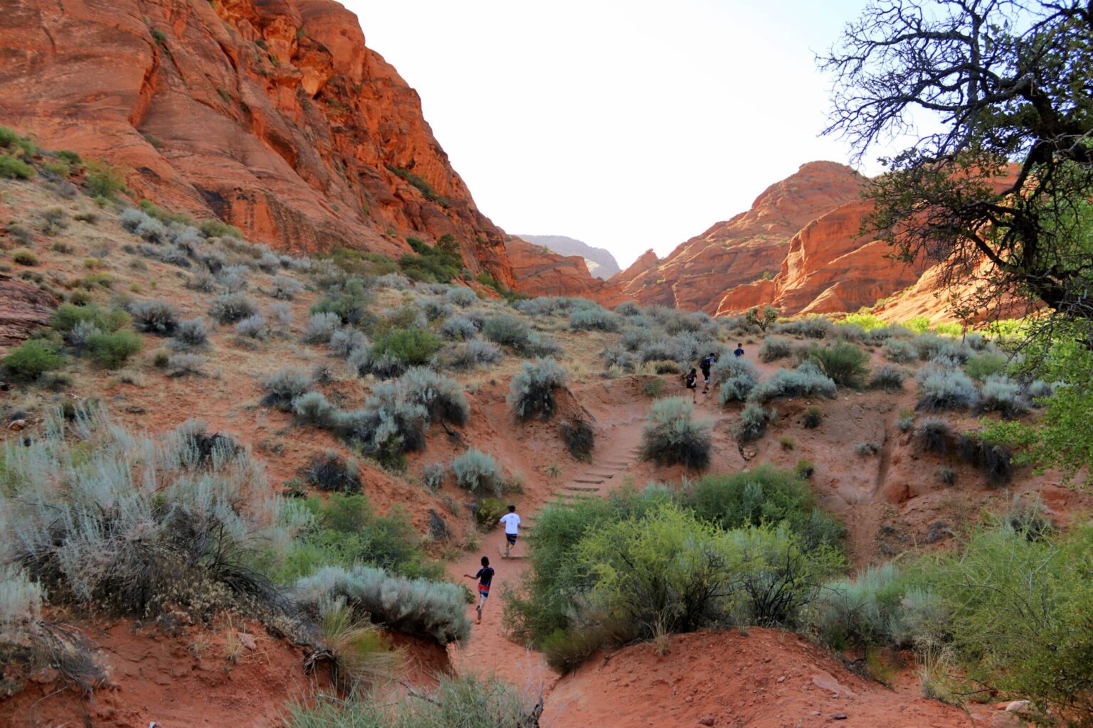 10 Awesome Things to Do in St George, Utah With Kids | Simply Wander