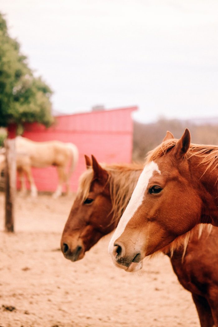Rancho de la Osa: Arizona's Most Historic Dude Ranch | Simply Wander