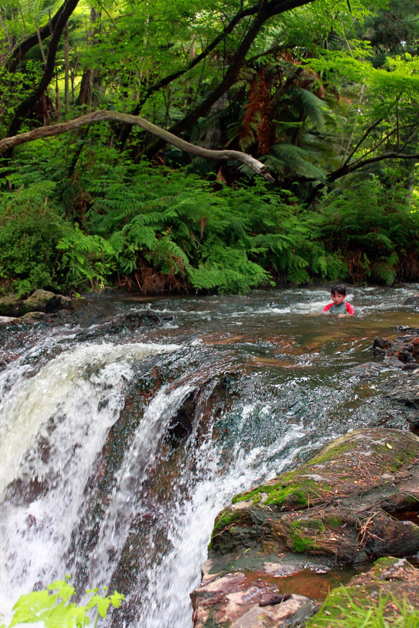 8 Unforgettable Things to do in Rotorua New Zealand | Simply Wander