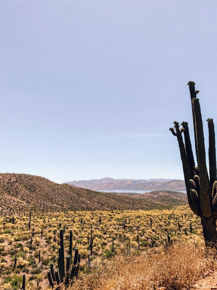 Salome Jug: Arizona's Mile Long Natural Water Park - Simply Wander
