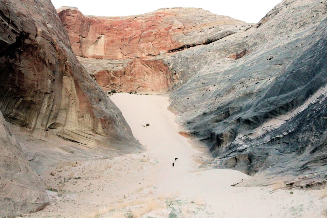 9 Lake Powell Secret Spots | Simply Wander
