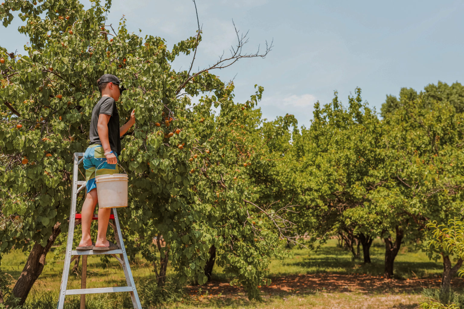 A Weekend Exploring Zion National Park's Hidden Gems | Simply Wander