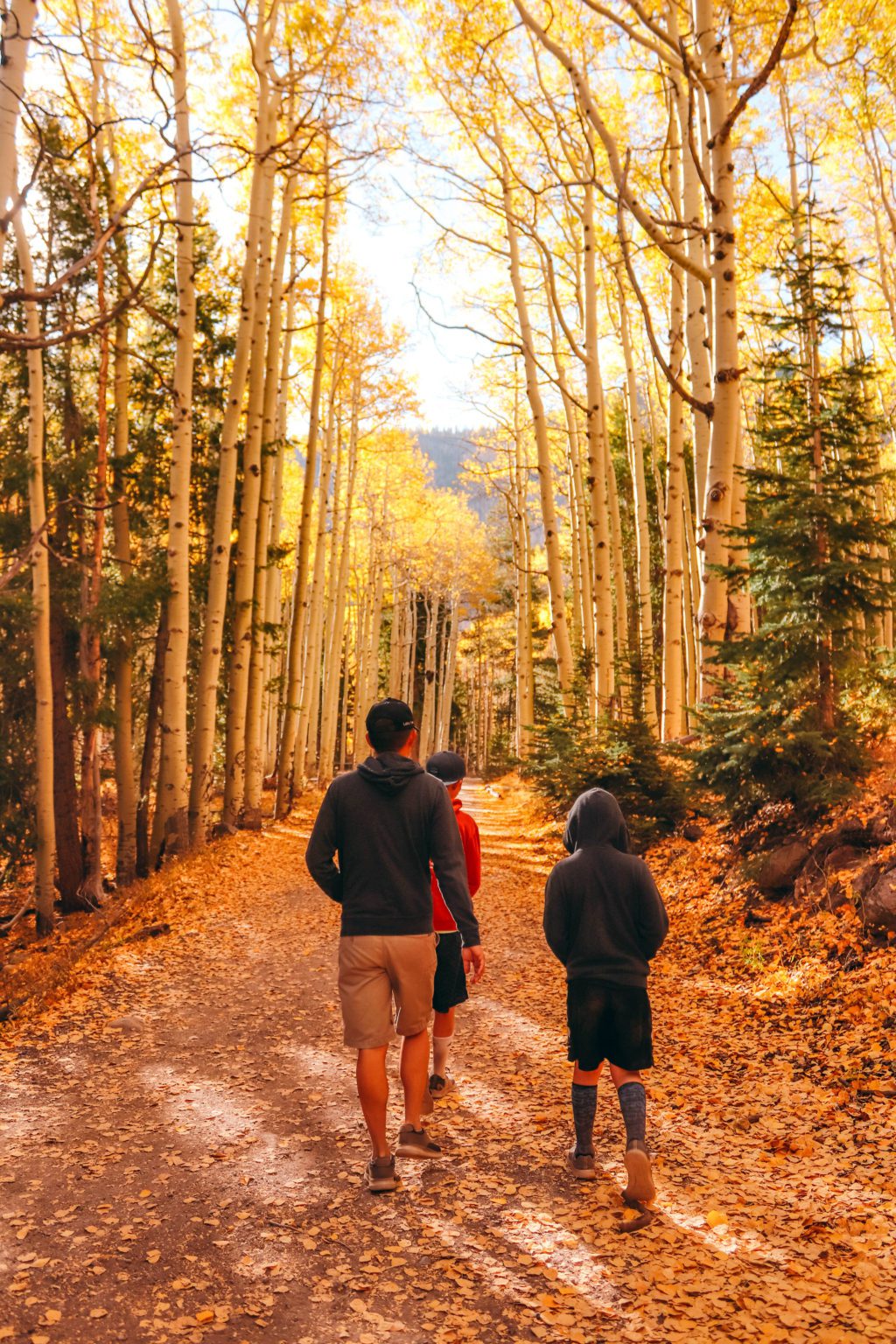Lockett Meadow: The Best Fall Hike in Arizona | Simply Wander