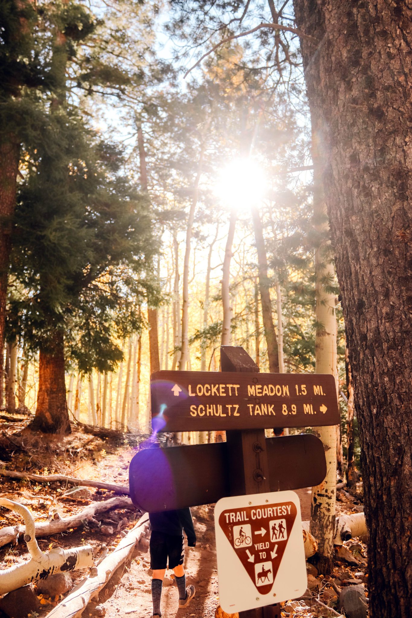Lockett Meadow: The Best Fall Hike in Arizona | Simply Wander