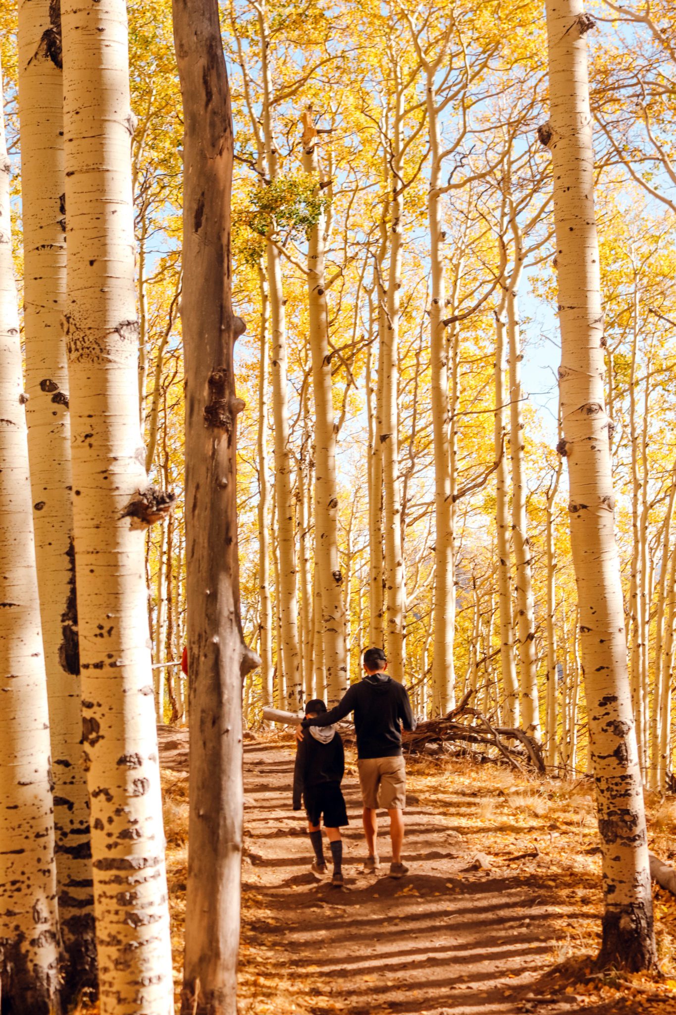 Lockett Meadow: The Best Fall Hike in Arizona - Simply Wander