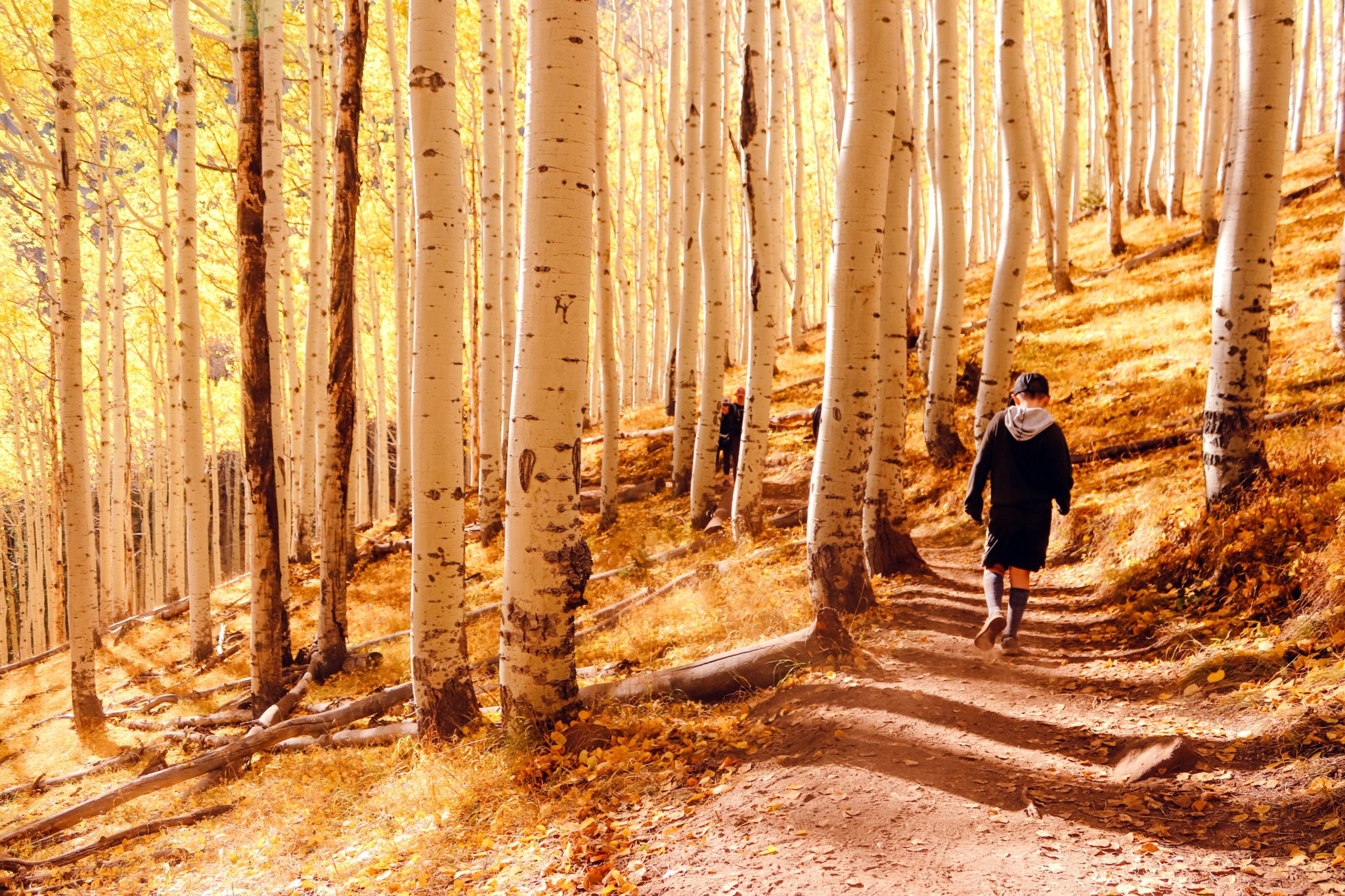 Lockett Meadow: The Best Fall Hike in Arizona | Simply Wander