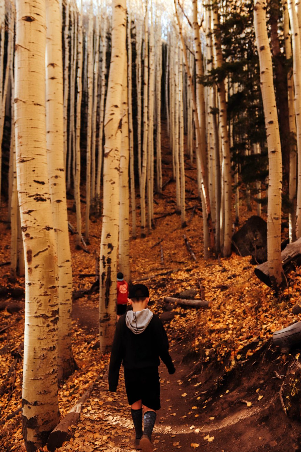 Lockett Meadow: The Best Fall Hike in Arizona | Simply Wander