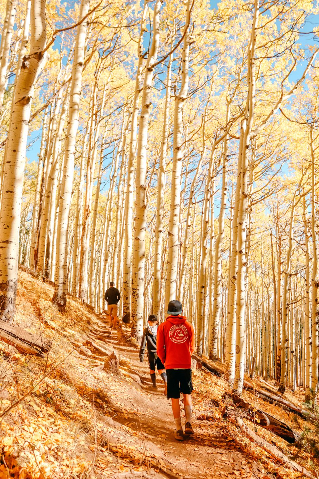 Lockett Meadow: The Best Fall Hike in Arizona | Simply Wander