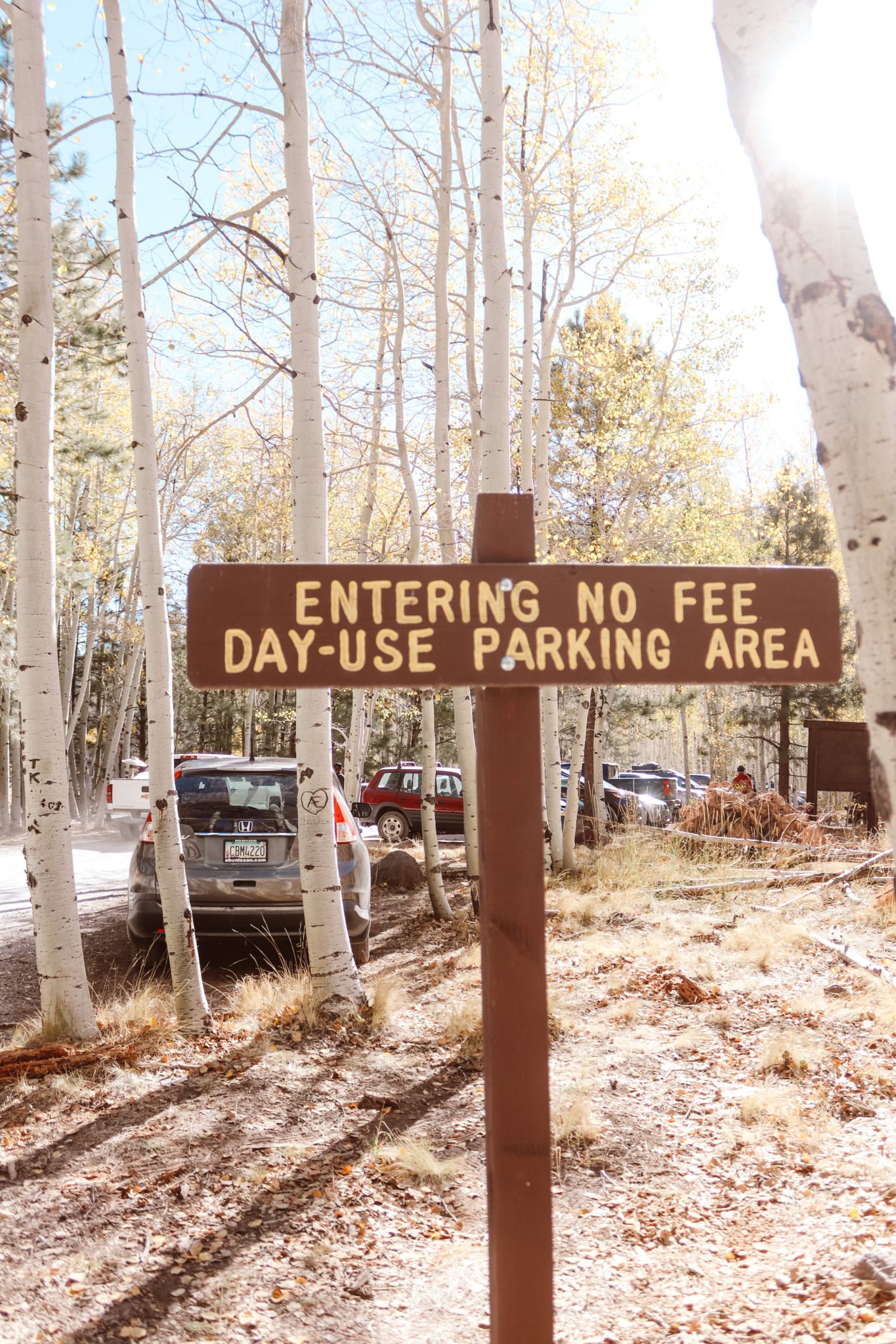 Lockett Meadow: The Best Fall Hike in Arizona | Simply Wander