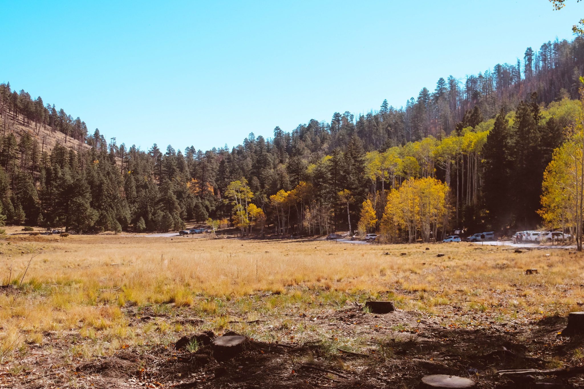 Lockett Meadow: The Best Fall Hike in Arizona - Simply Wander