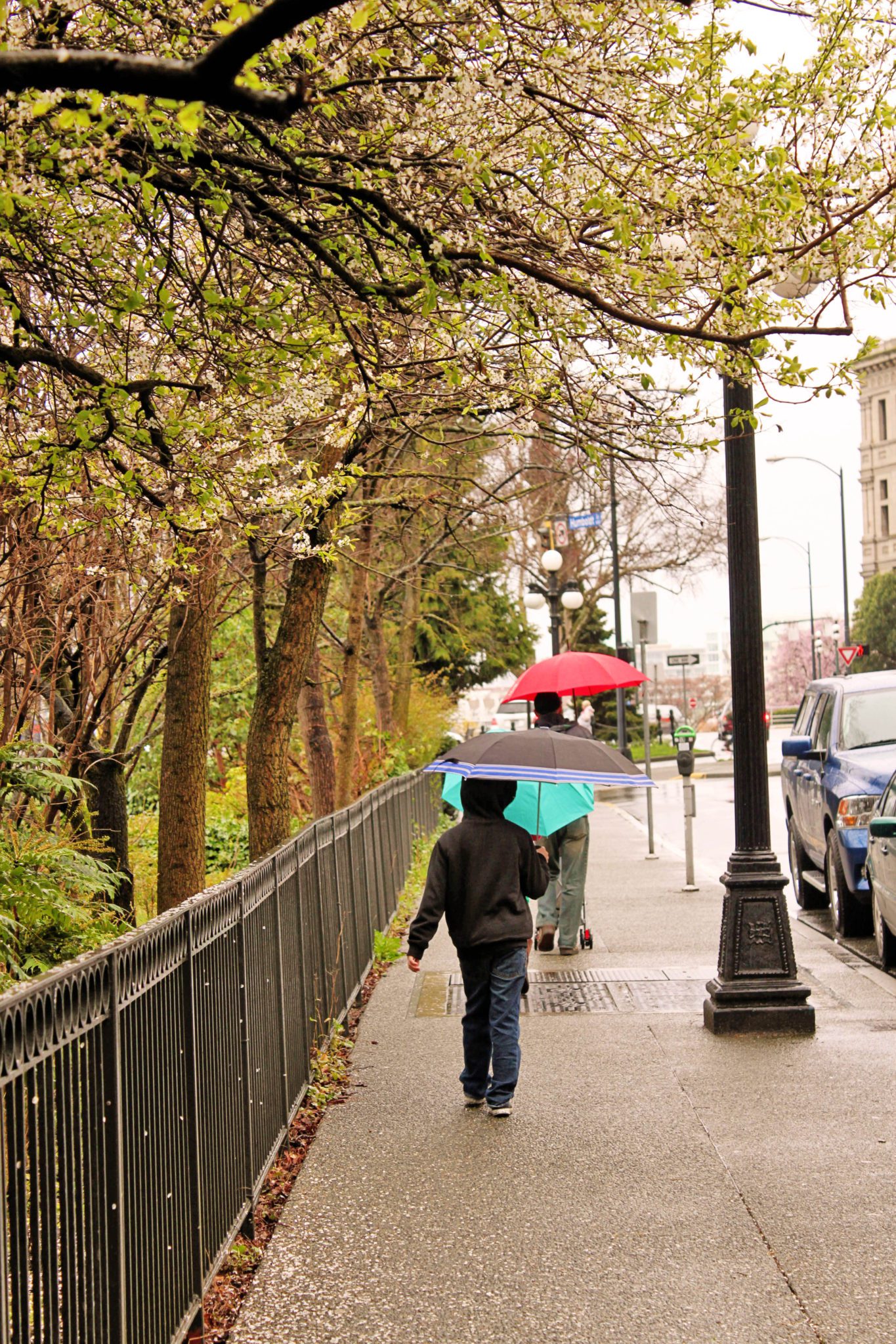 How to Spend a Weekend in Victoria BC with Kids | Simply Wander