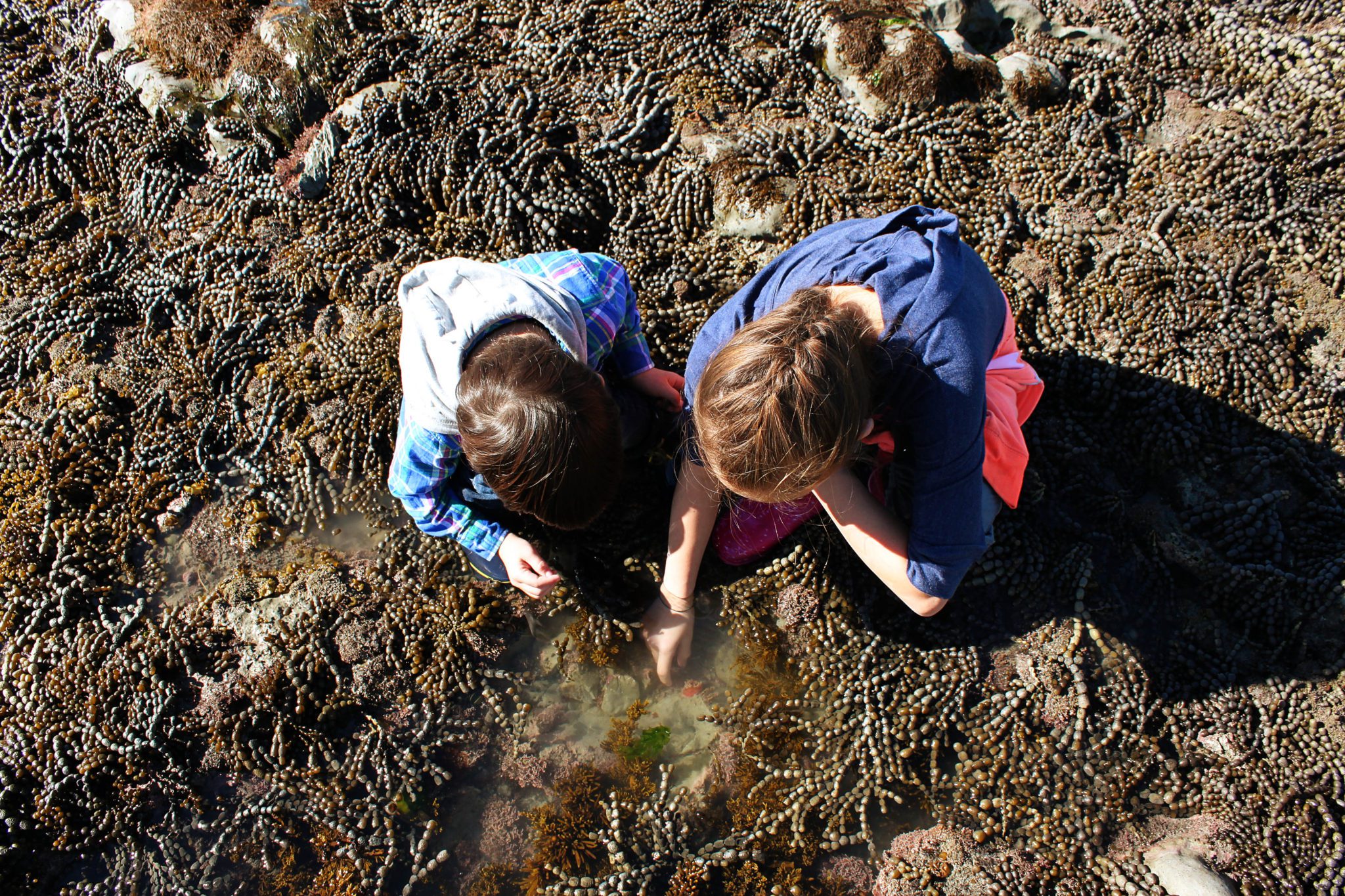 8 Unforgettable Things to Do in Kaikoura New Zealand | Simply Wander