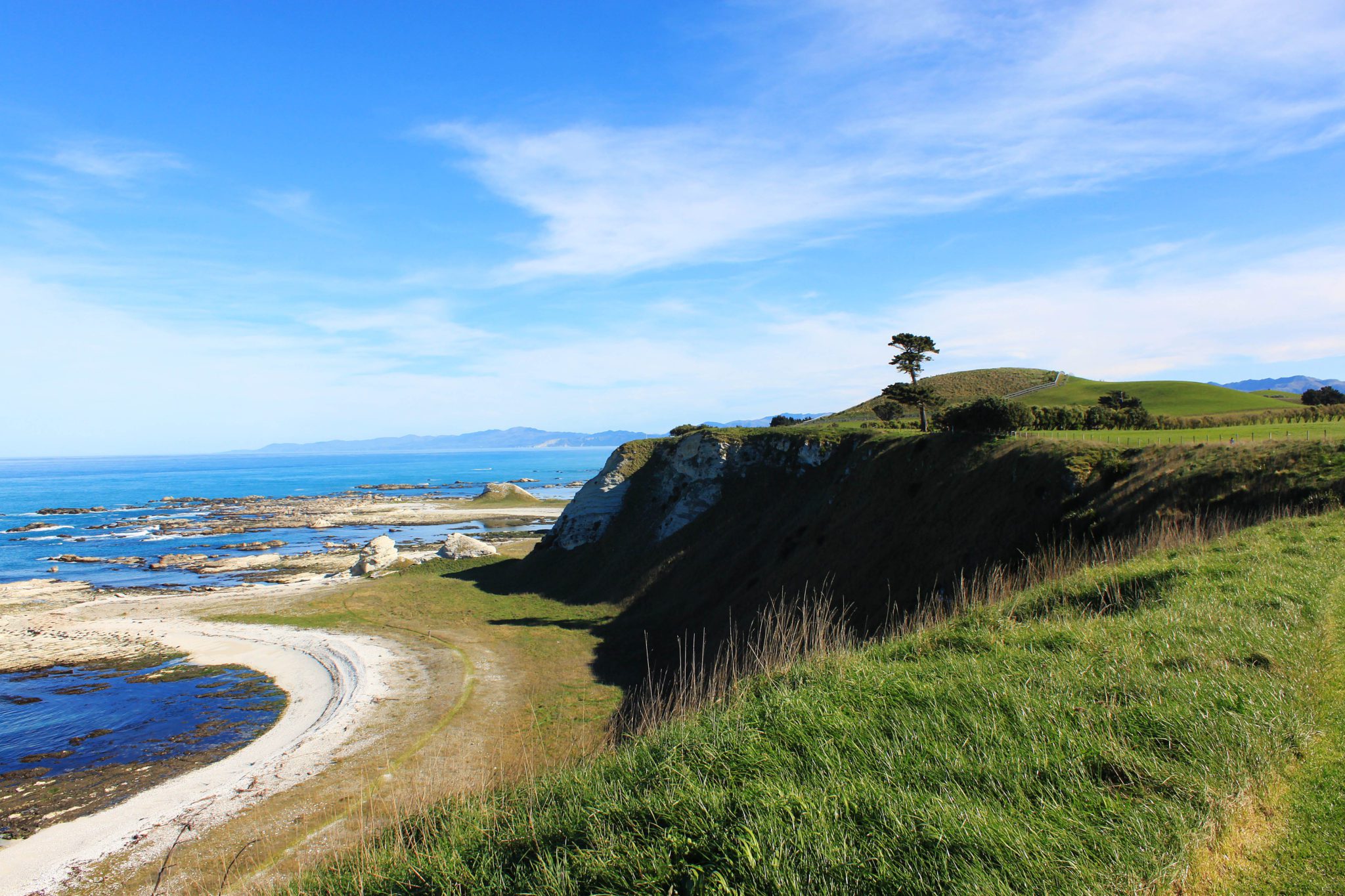 8 Unforgettable Things to Do in Kaikoura New Zealand | Simply Wander