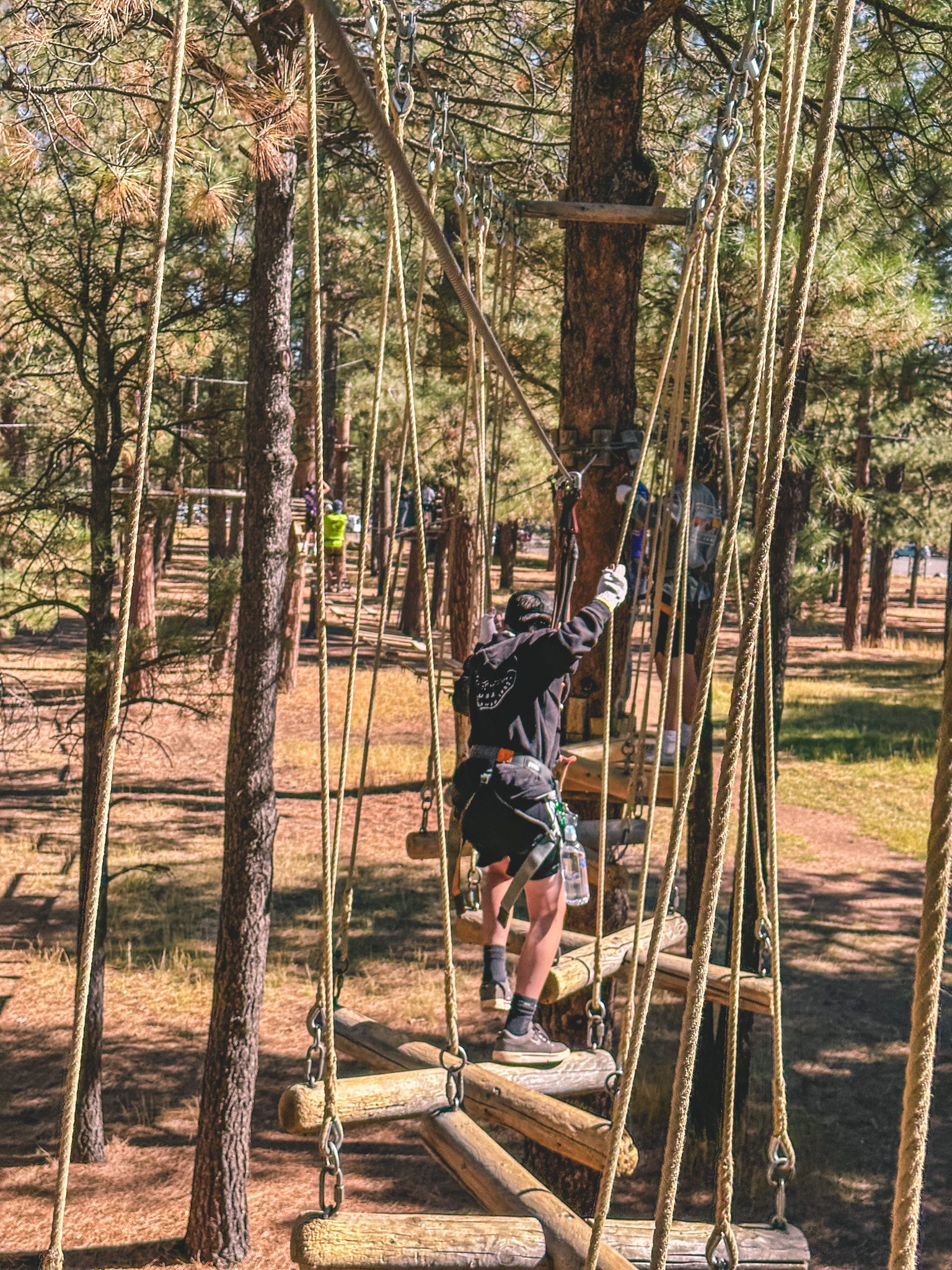 10 Fun Things to Do in Flagstaff With Kids | Simply Wander