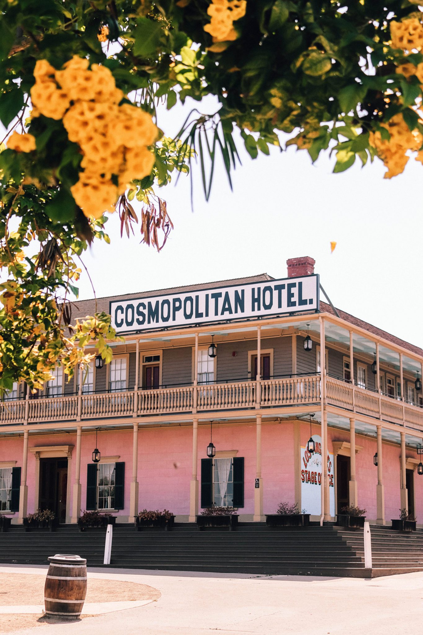 15 Fun Things to do in Mesa Arizona with Kids | Simply Wander