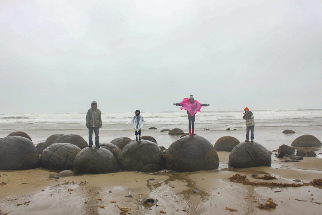 7 Must-See Stops Along New Zealand's Otago Coast | Simply Wander