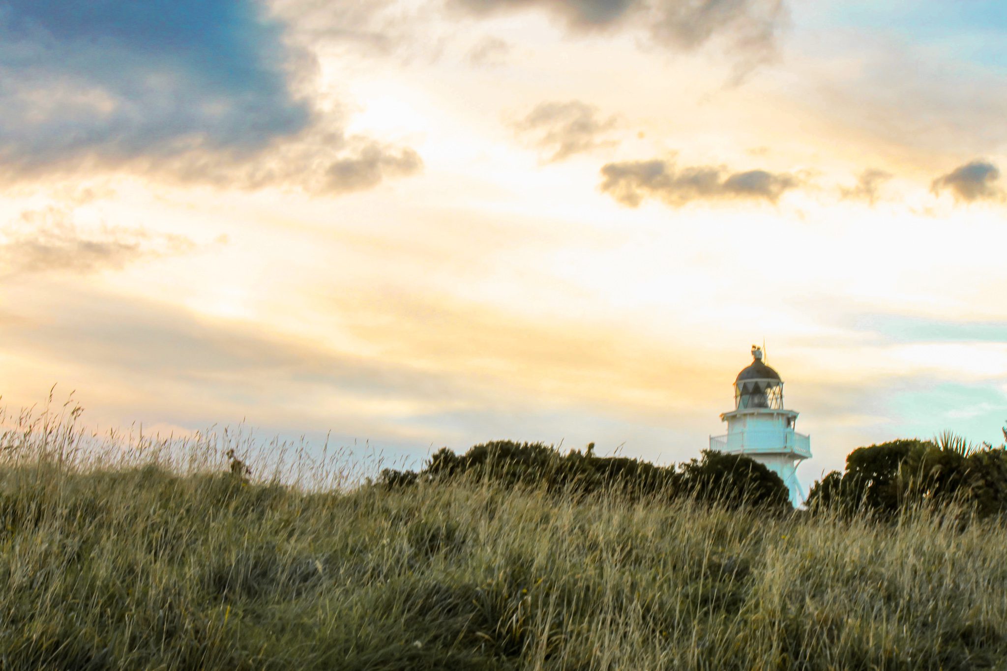 7 Must-See Stops Along New Zealand's Otago Coast | Simply Wander