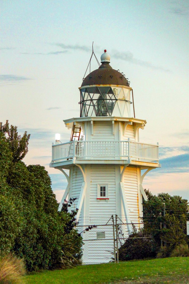 7 Must-See Stops Along New Zealand's Otago Coast | Simply Wander