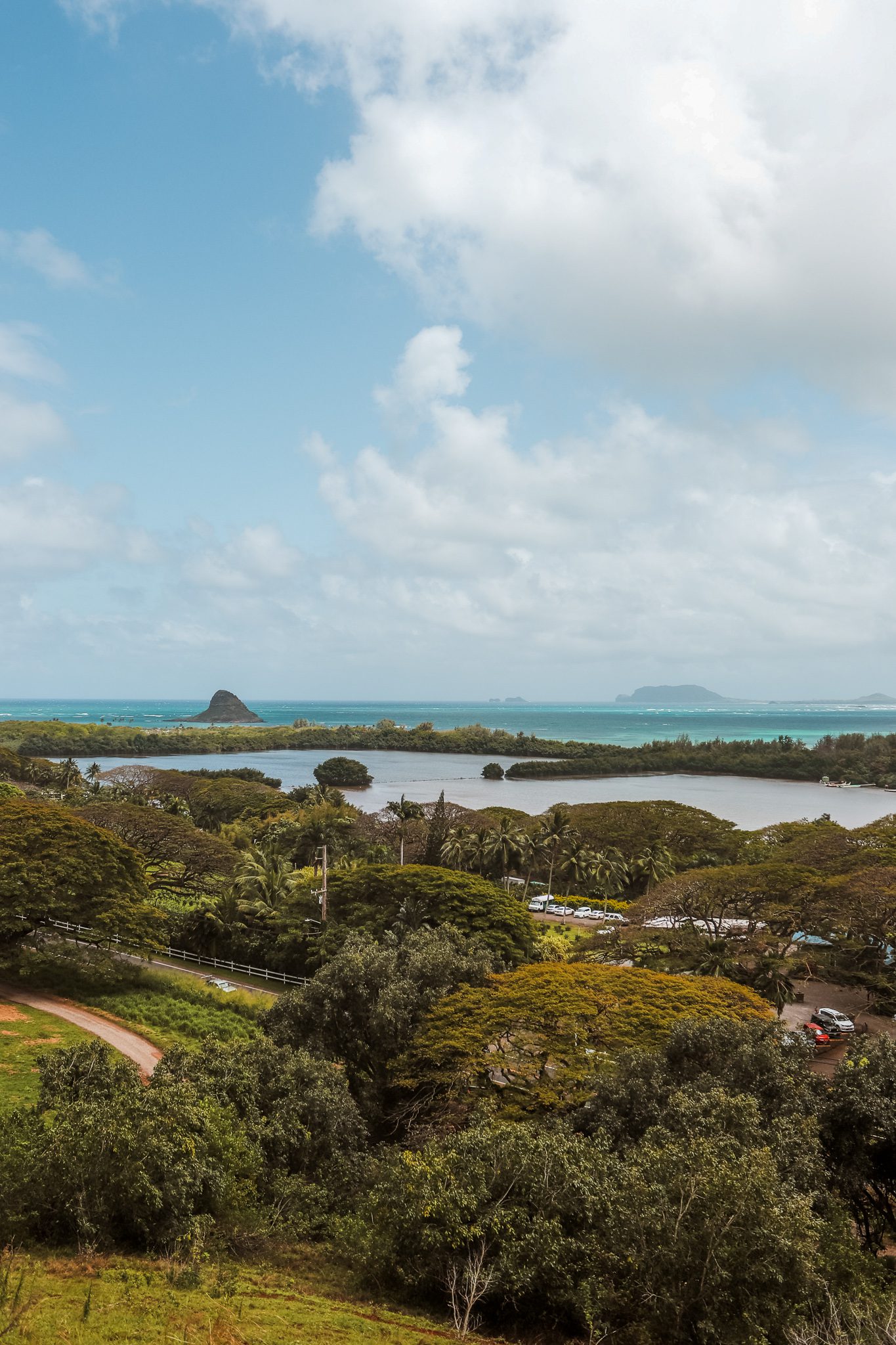 Jungle Expedition: One of the Best Kualoa Ranch Tours | Simply Wander