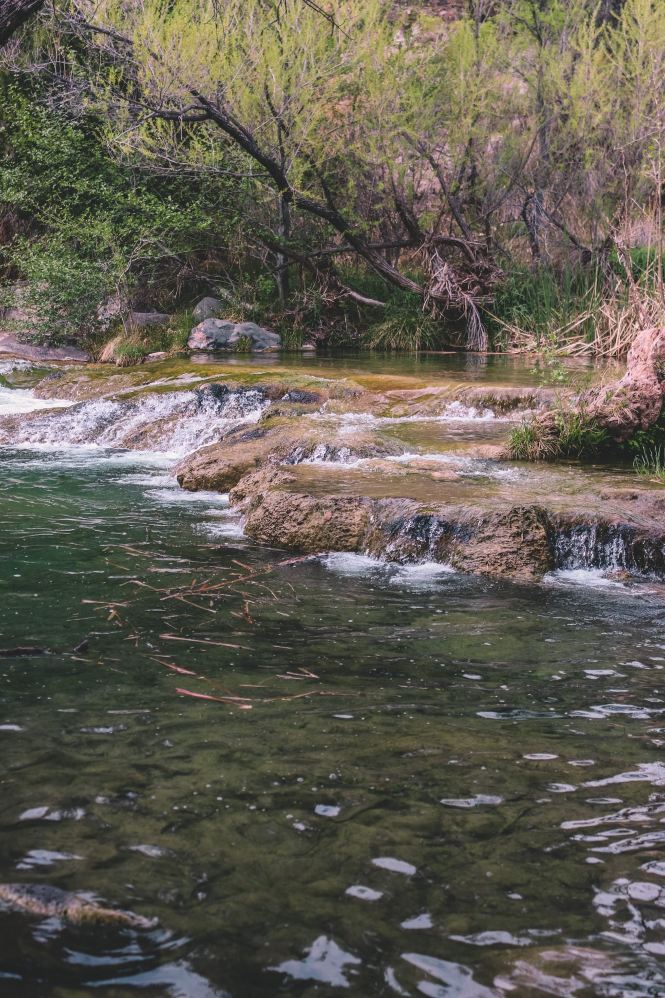 Fossil Creek Waterfall: Arizona's Hidden Desert Oasis | Simply Wander