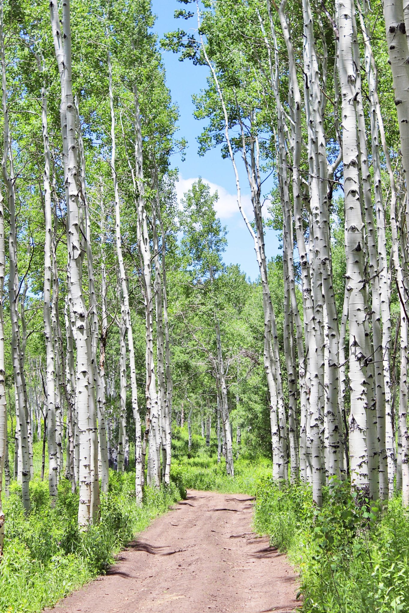 6 Fun Things to Do in Sanpete County, Utah - Simply Wander