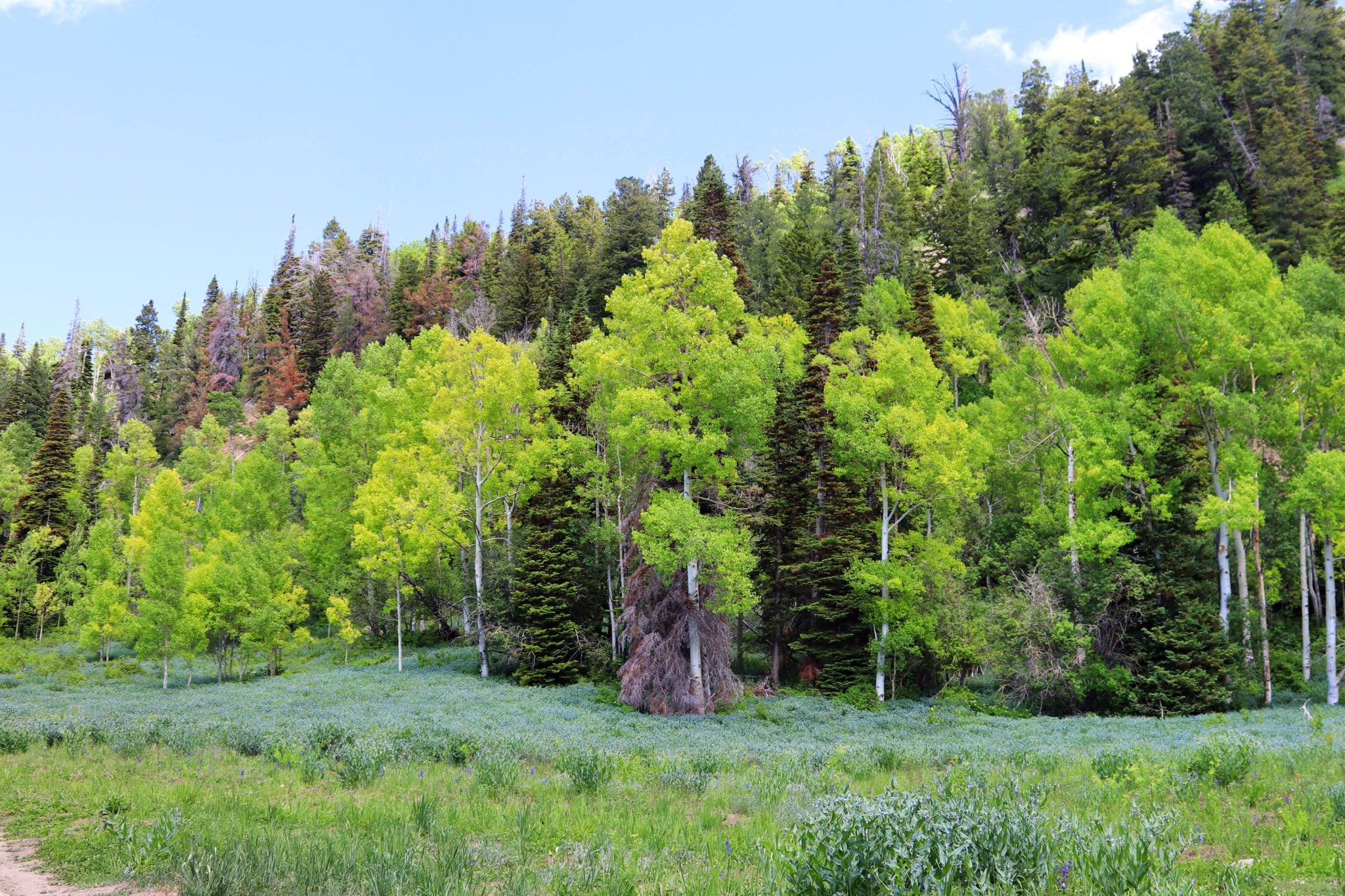Sanpete County: A Utah Hidden Gem - Simply Wander