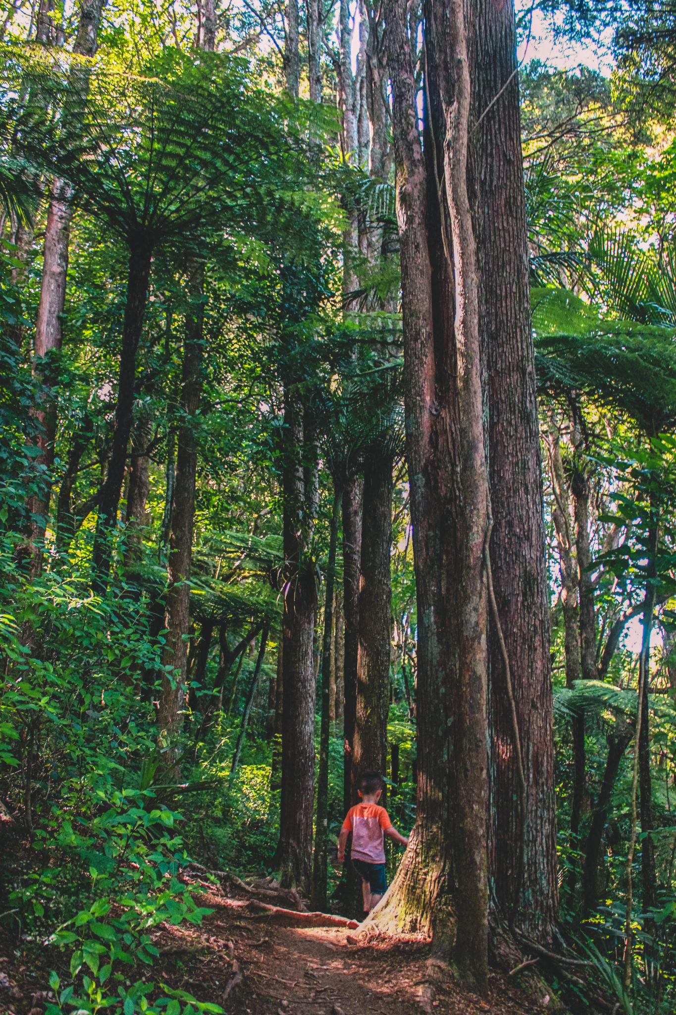 9 Incredible Places to Visit in Northland New Zealand | Simply Wander